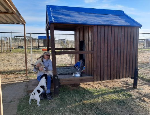 Vaal Pets needs your help | Vaalweekblad